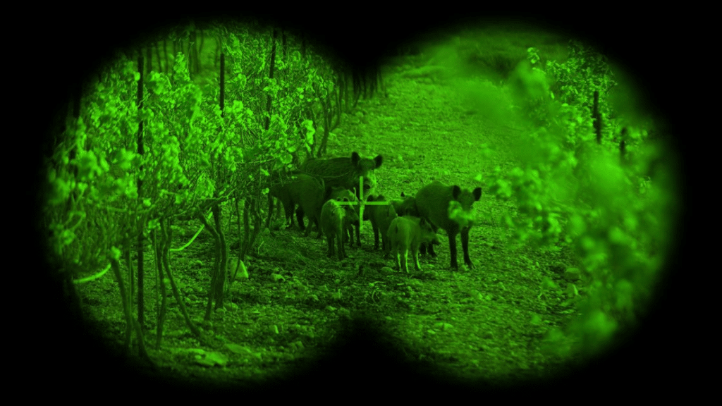 Night Vision Versus Thermal Scope - The Chicago Weekly